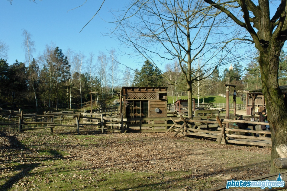 Critter Corral – Photos Magiques