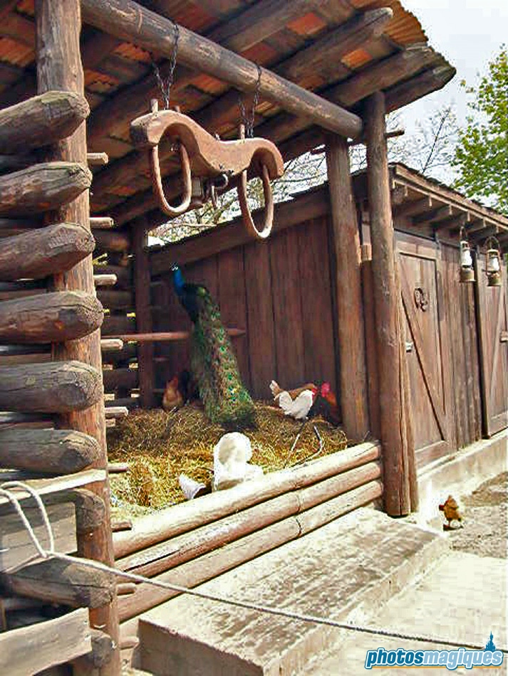 Critter Corral – Photos Magiques
