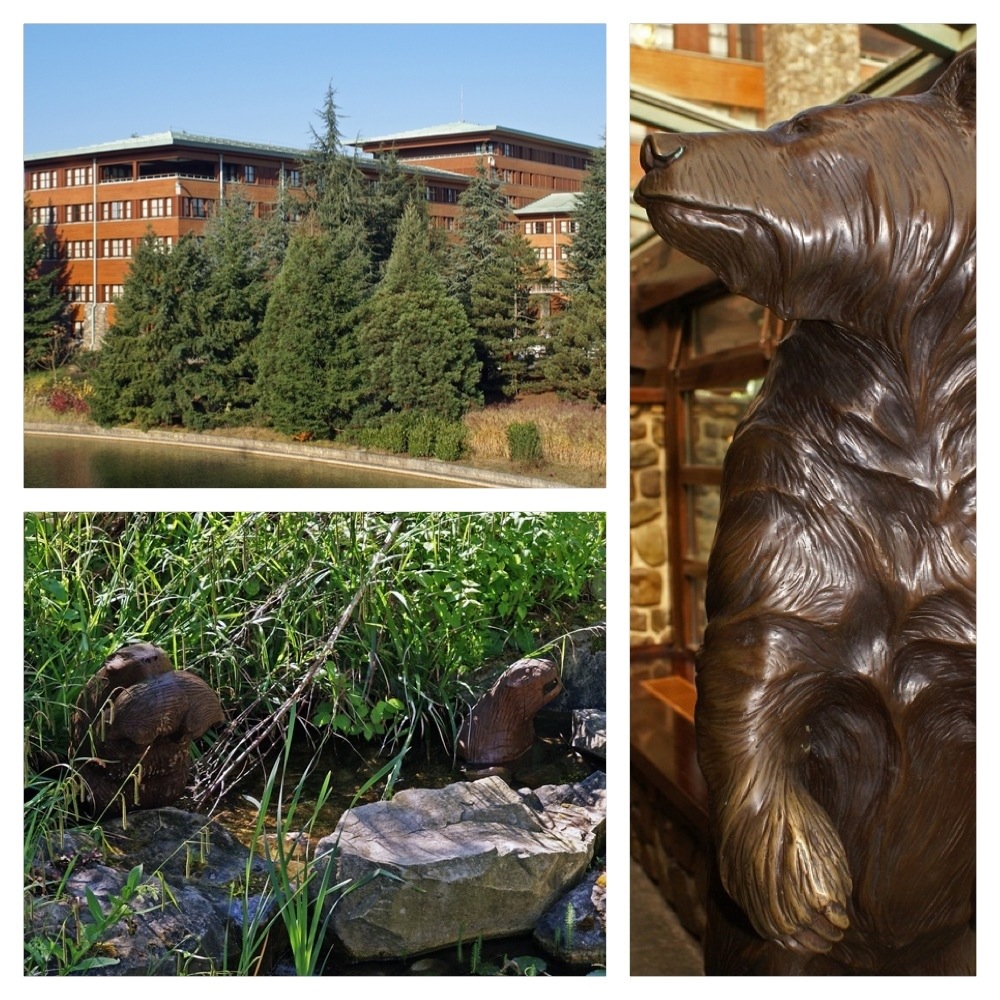 Take a photo tour of Disney’s Sequoia Lodge – Photos Magiques