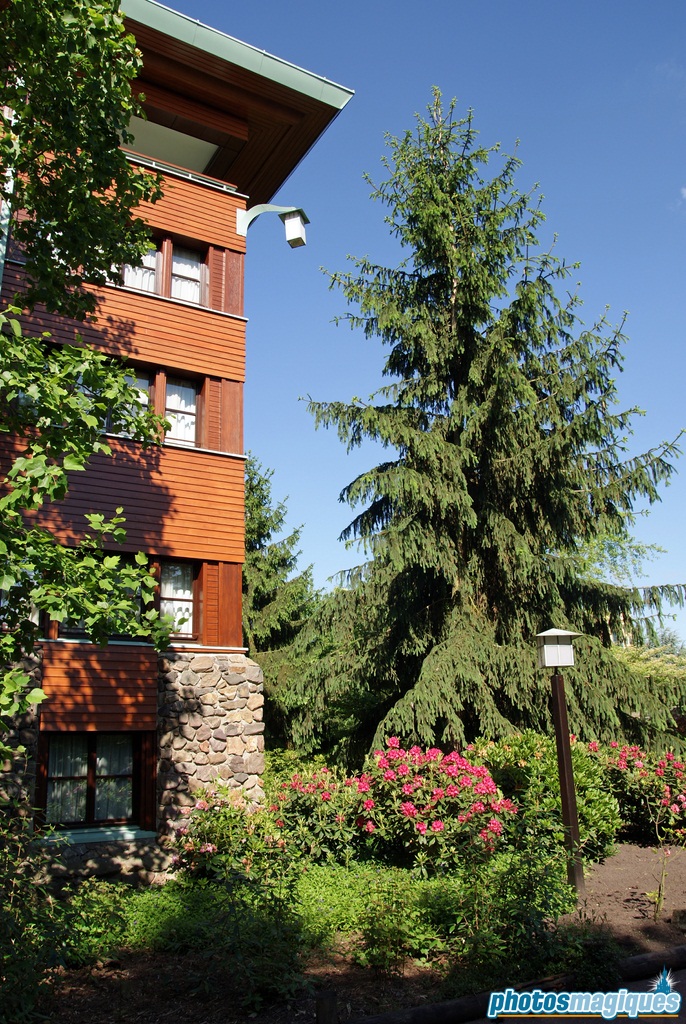 Disney’s Sequoia Lodge – Photos Magiques