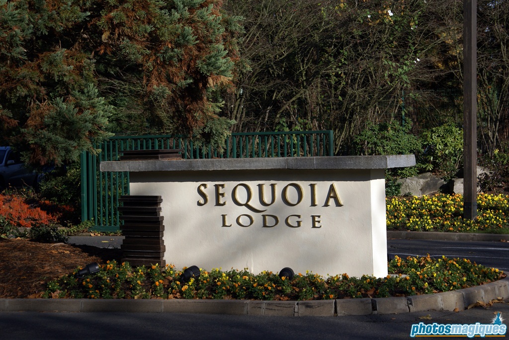 Disney’s Sequoia Lodge – Photos Magiques