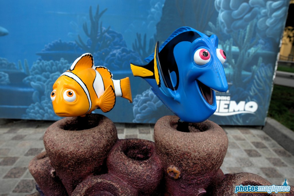 Throwback Thursday: Finding Nemo photo location – Photos Magiques