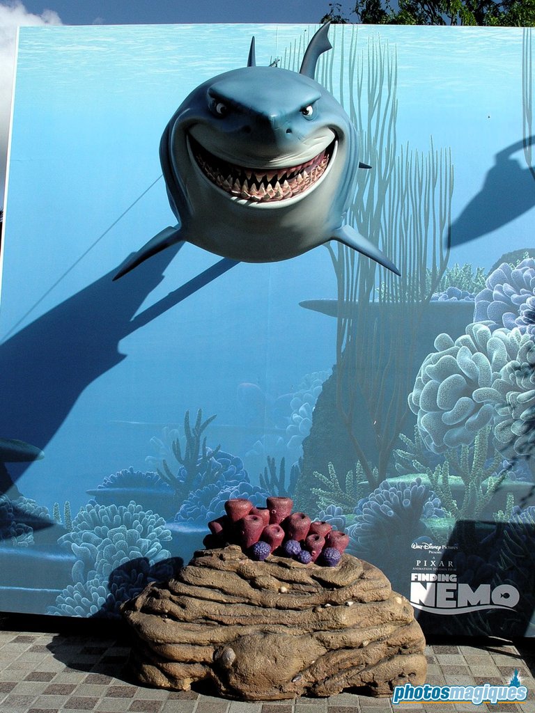Throwback Thursday: Finding Nemo photo location – Photos Magiques