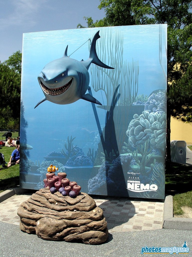 Throwback Thursday: Finding Nemo photo location – Photos Magiques
