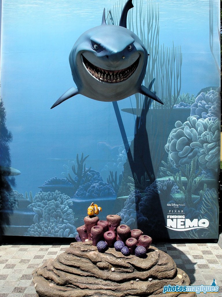 Throwback Thursday: Finding Nemo photo location – Photos Magiques
