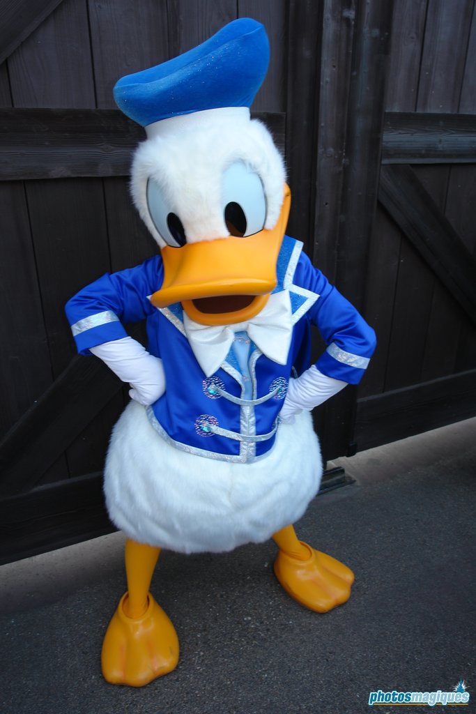 It’s all about Donald Duck – Photos Magiques
