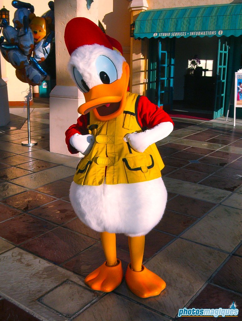 Donald Duck – Photos Magiques