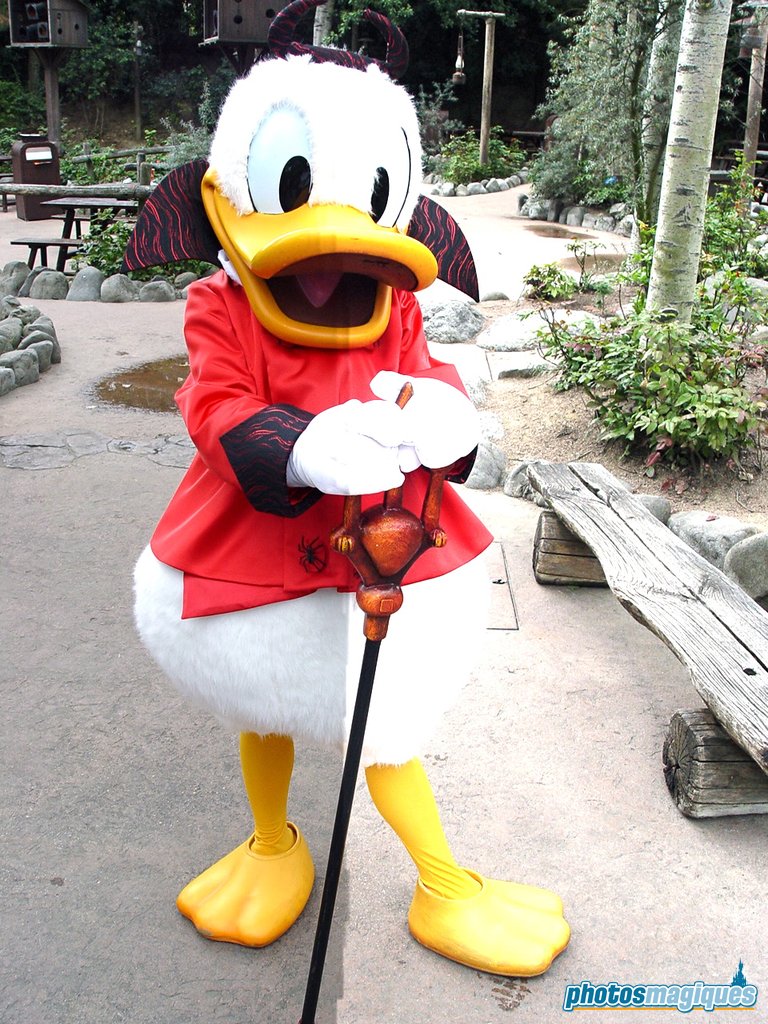 Donald Duck – Photos Magiques
