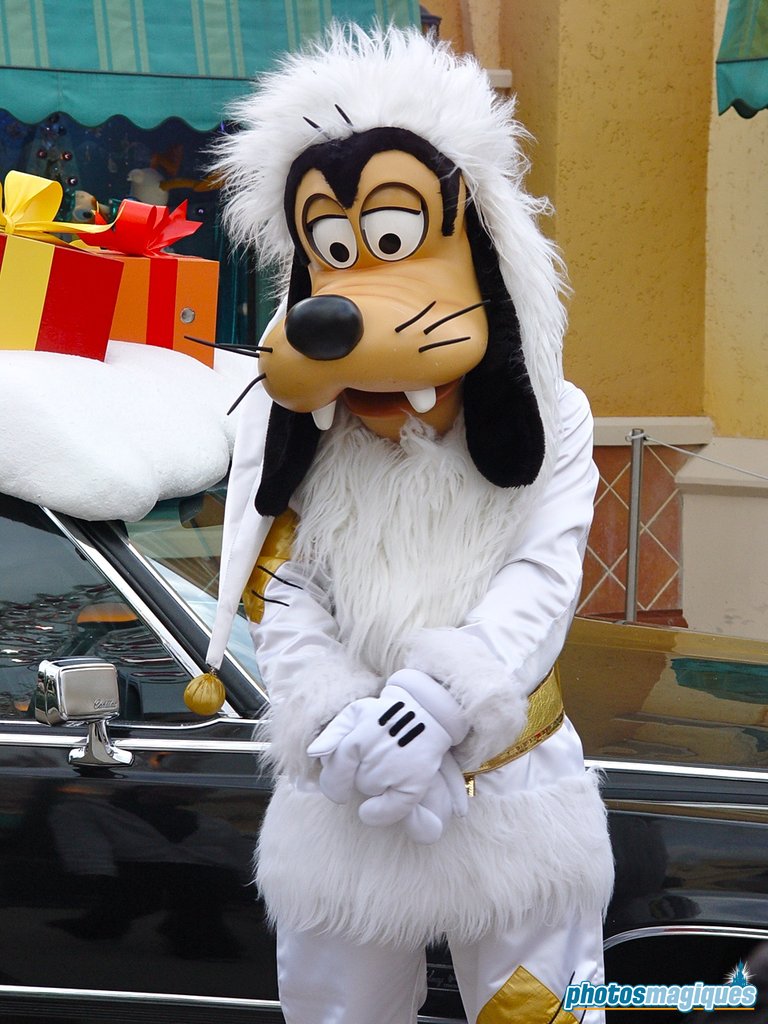 Goofy – Photos Magiques
