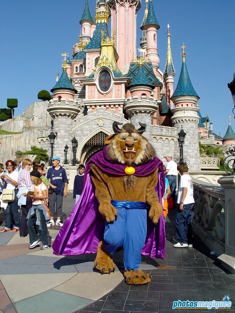 Beauty and the Beast – Photos Magiques