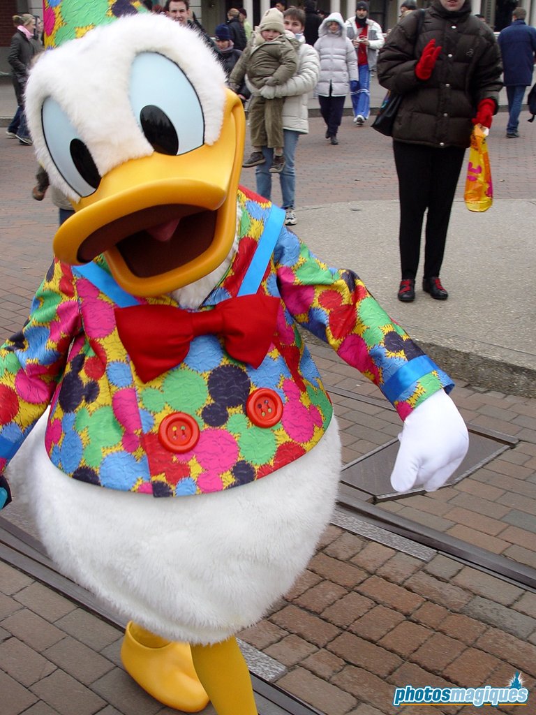 Donald Duck – Photos Magiques