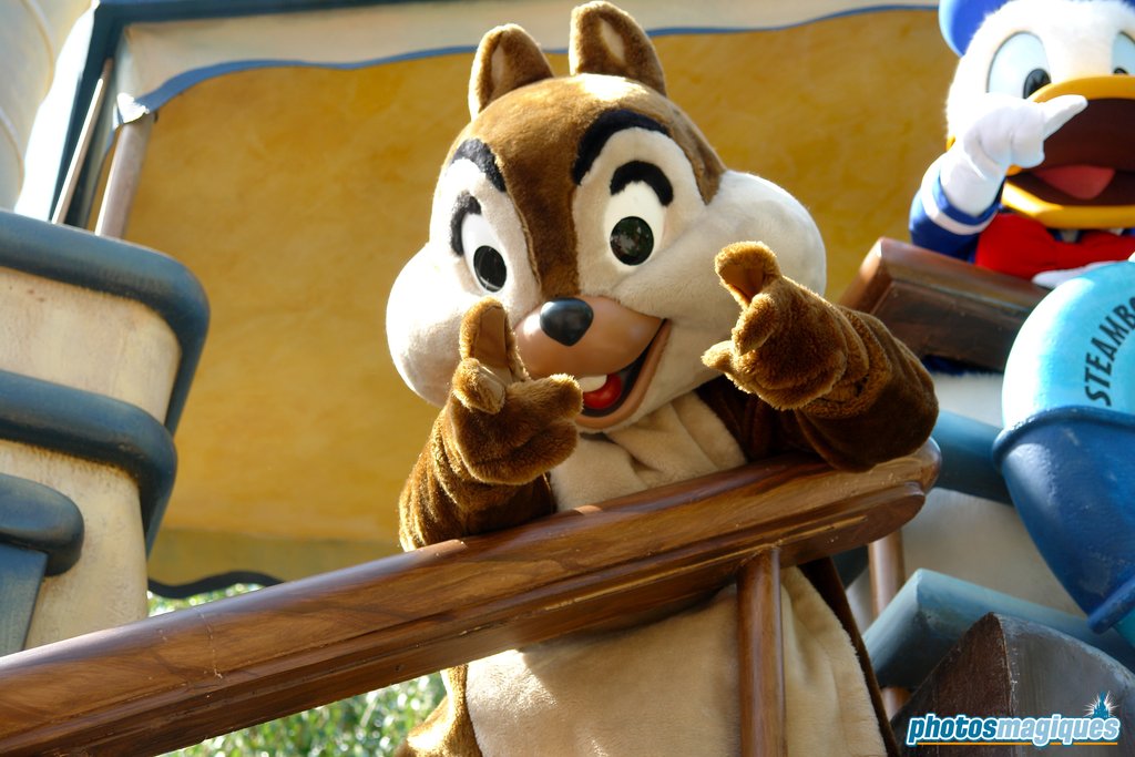 Chip and Dale – Photos Magiques