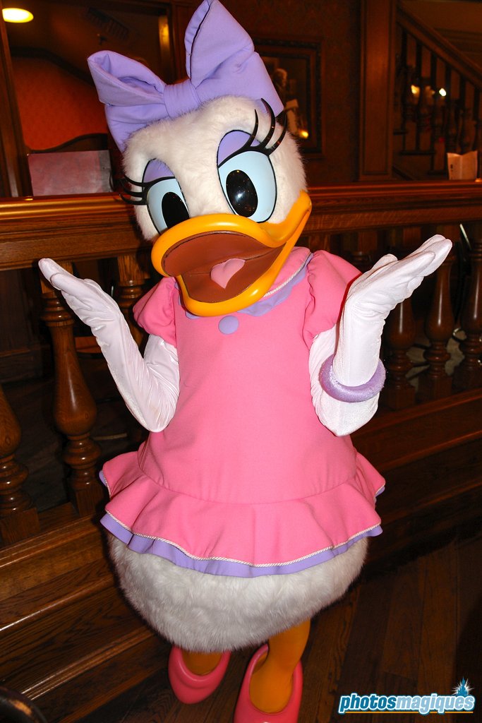 Daisy Duck – Photos Magiques
