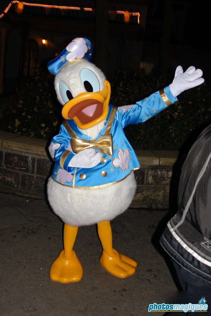 Donald Duck – Photos Magiques