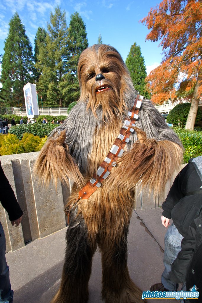 Star Wars – Photos Magiques